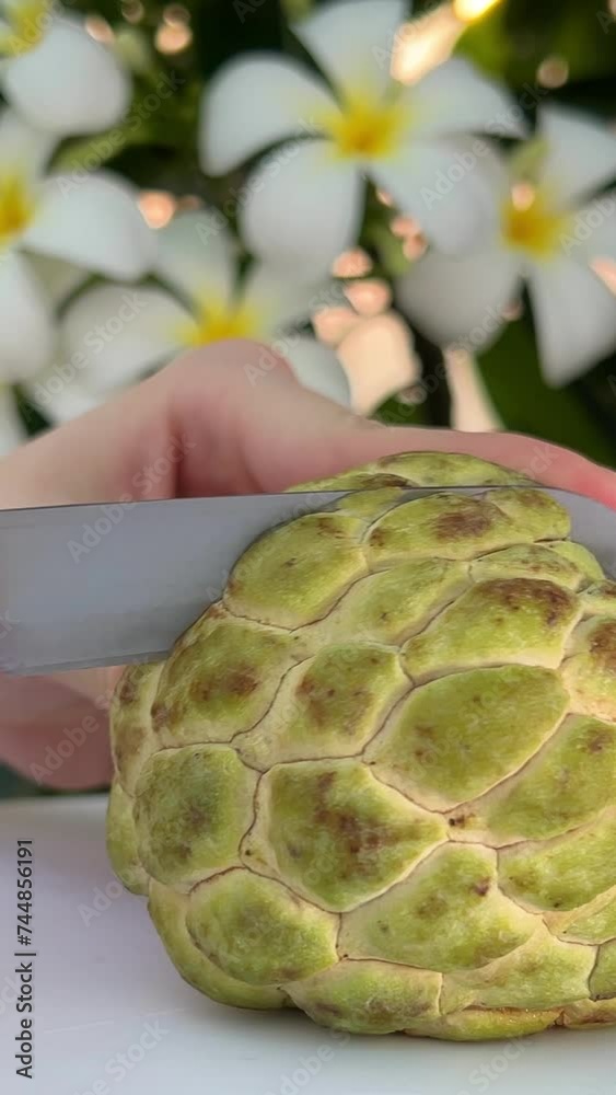 noina underneath the segmented green peel is a white and sweet filling ...