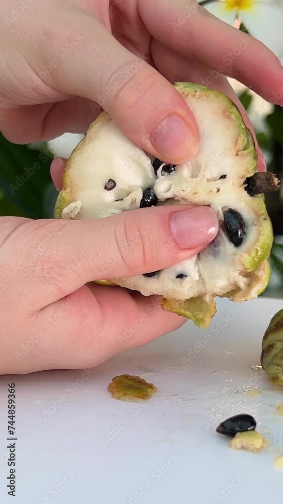 Vidéo Stock noina underneath the segmented green peel is a white and ...