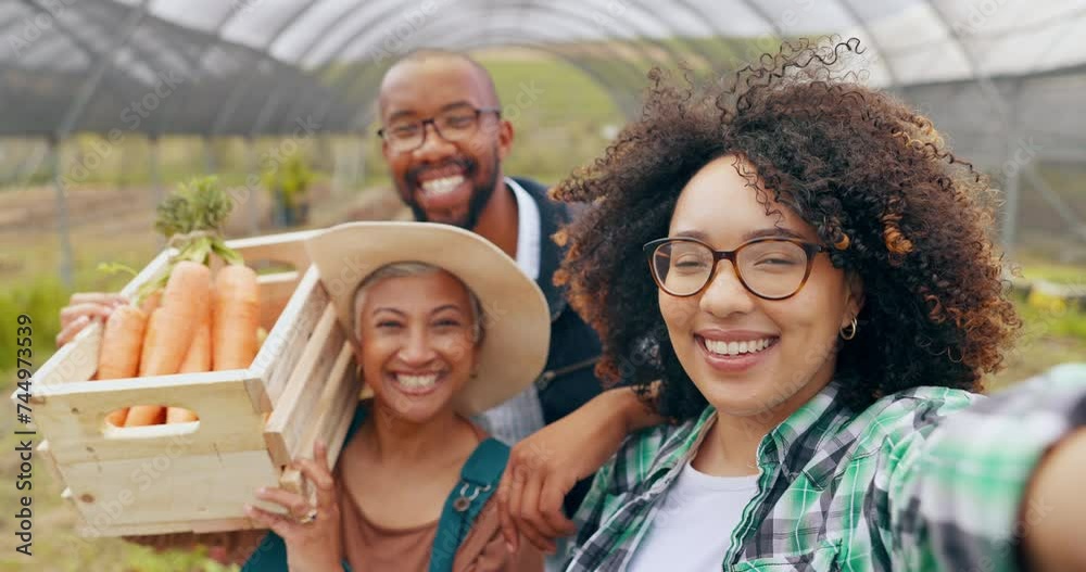 Greenhouse, selfie or people at a farm for vegetable harvest ...