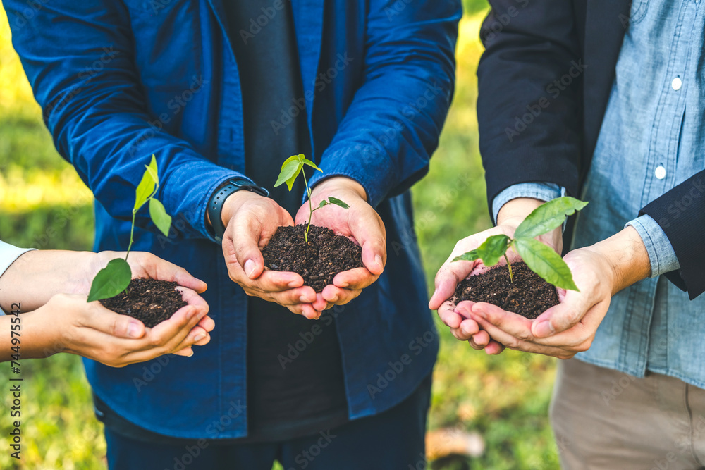 Environmental Collaboration in green business people conserve the green ...