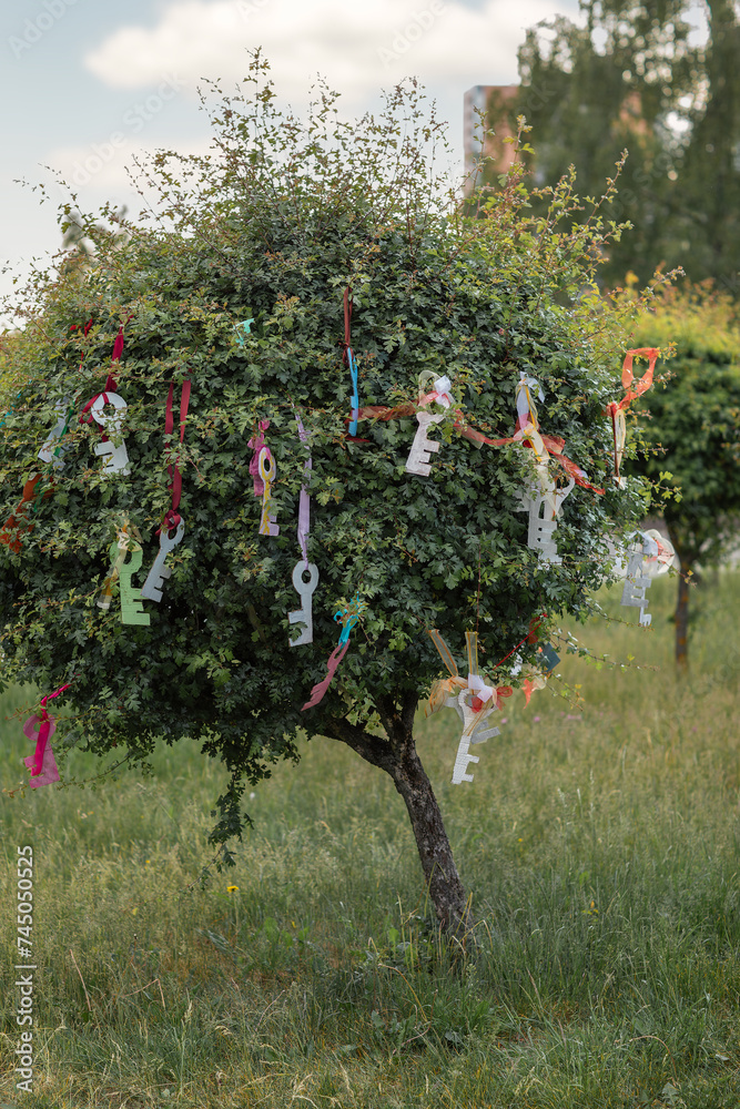 The knowledge tree is decorated with keys in the school yard. Art ...