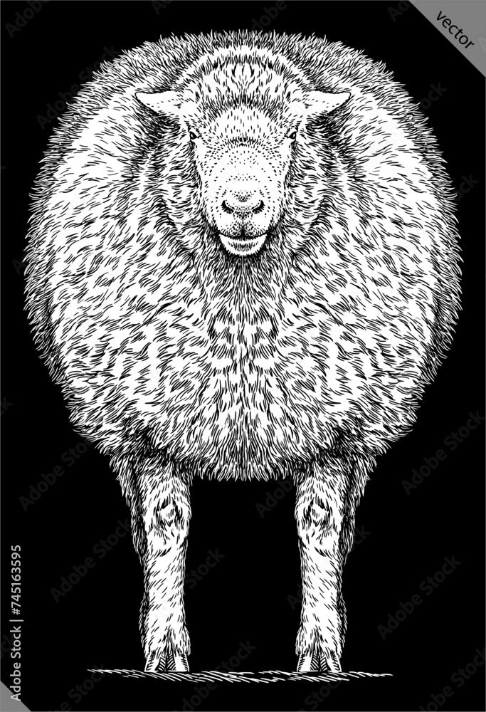 Vintage engraving isolated lamb set illustration ram ink sketch. Farm ...