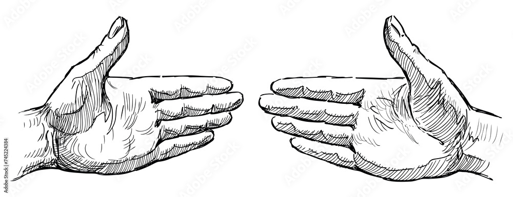Hand drawing of two human palms in friendly gesture, sketch black and ...