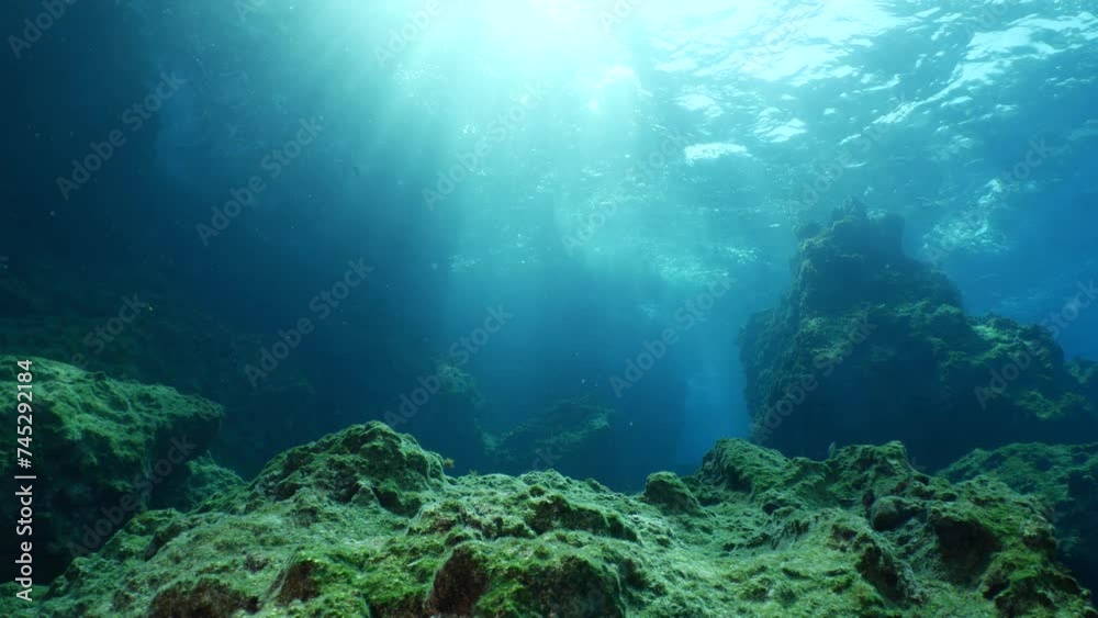 underwater scenery of mediterranean rocks and reef deep blue clean ...