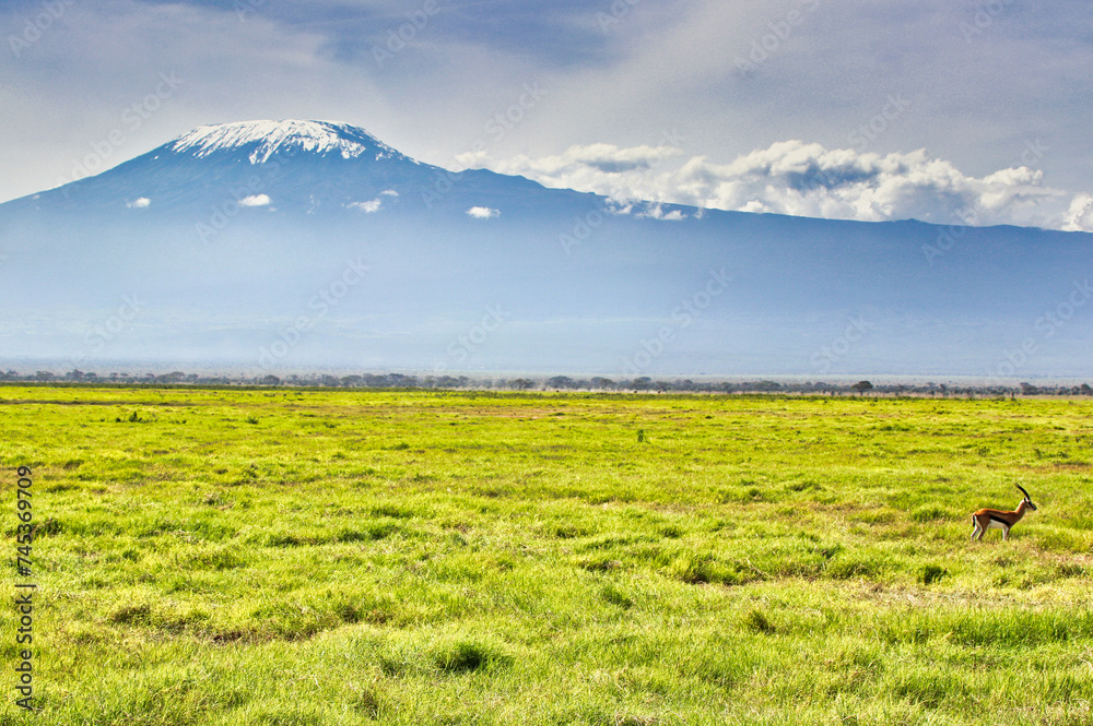 A Male Thomson's Gazelle is pictured with the backdrop of the soaring ...