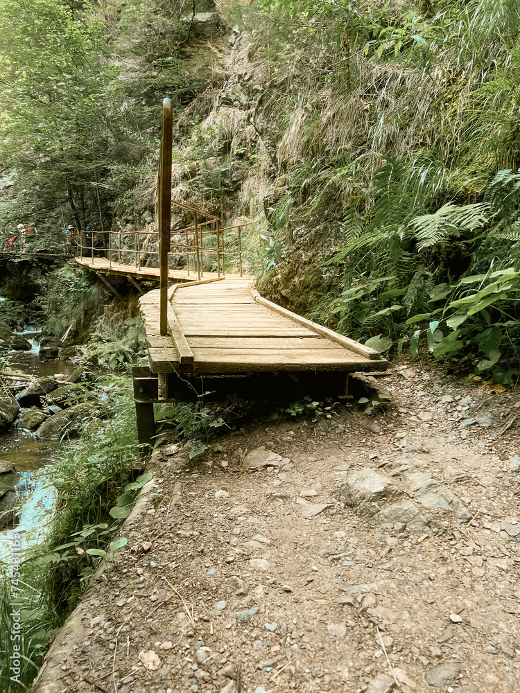 Surface level views of a narrow wooden pathway that runs across a river ...