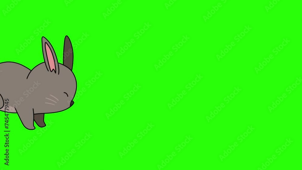 Mouse running on green screen background. 4K Motion graphics animation ...