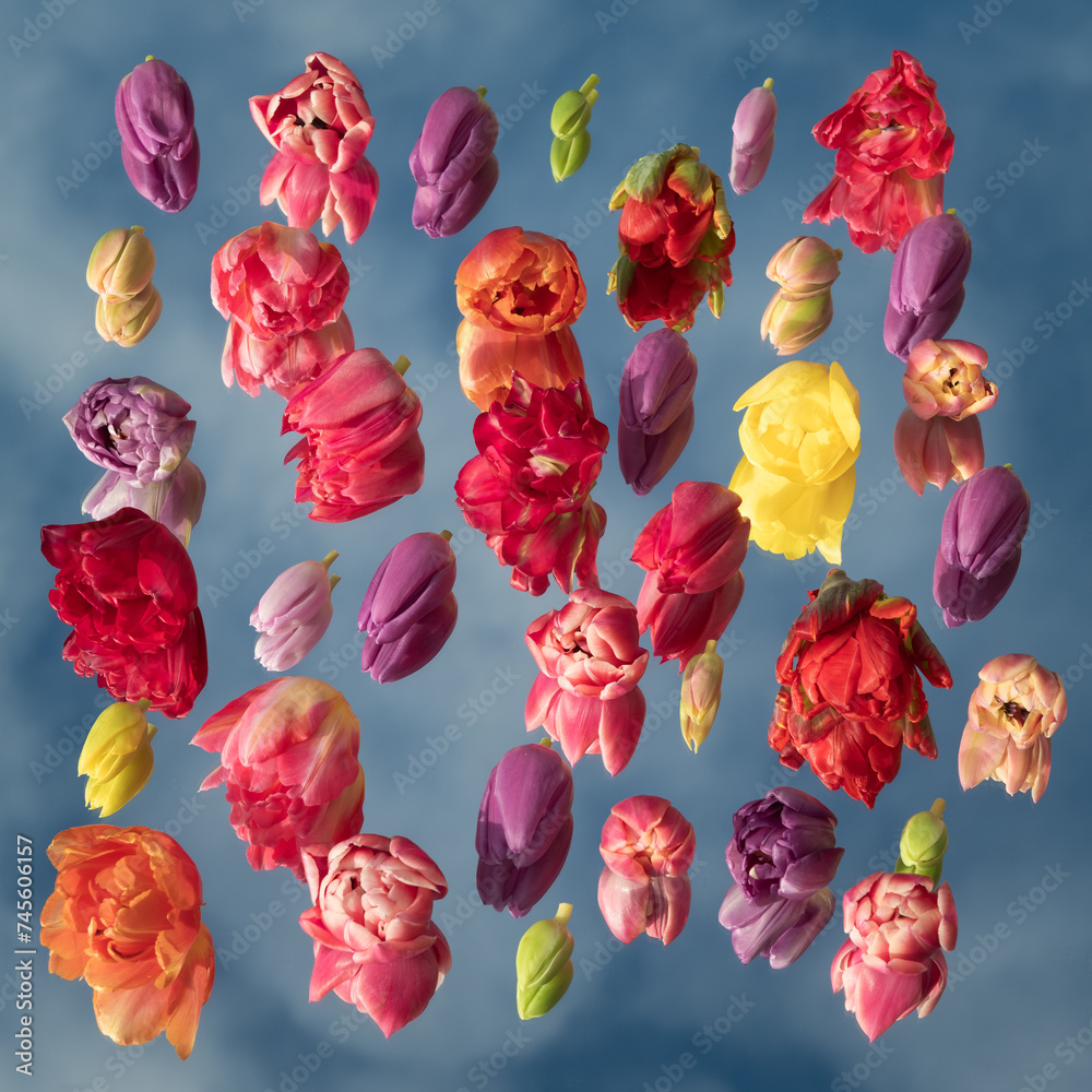 abstract wallpaper with floating flowers in mirror Stock Photo | Adobe ...