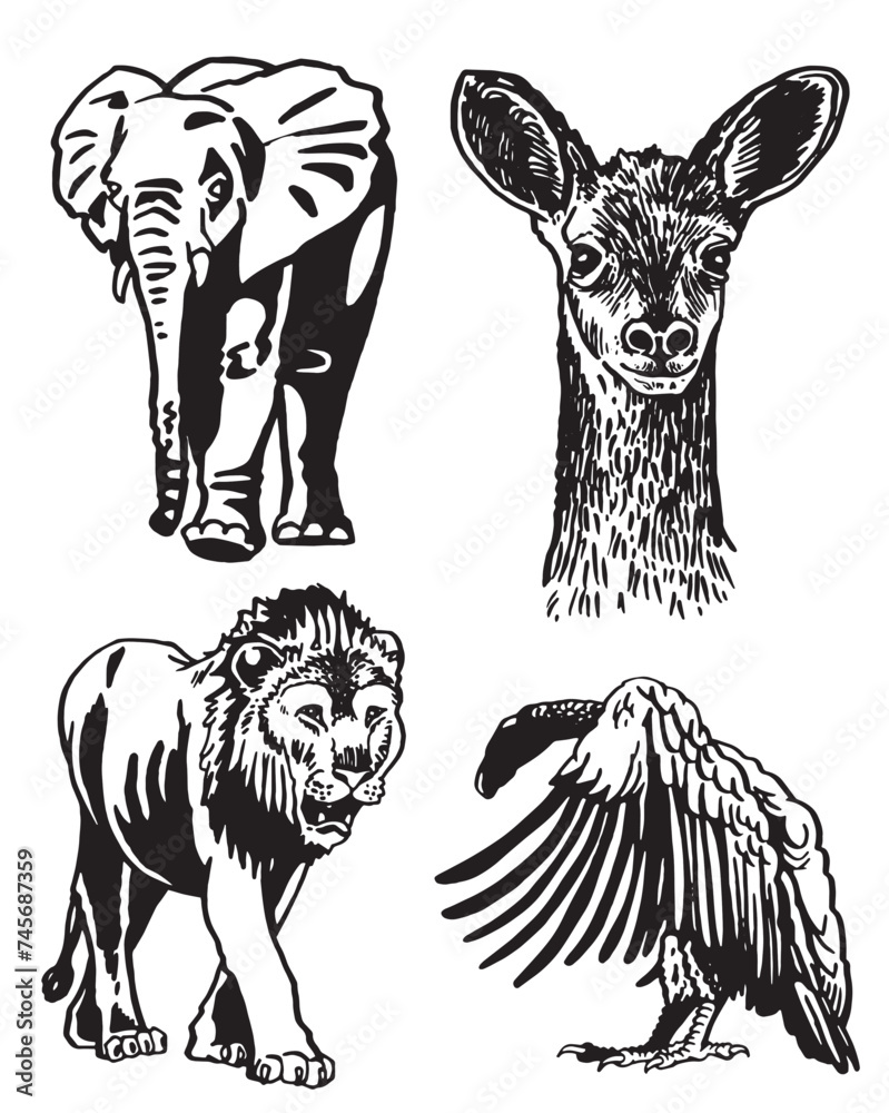 Graphical set of animals on white background, vector illustration Stock ...