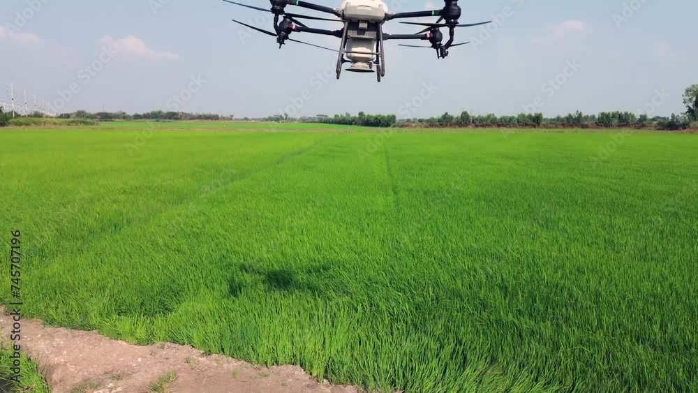Modern technologies in agriculture. Agriculture drone fly to sprayed ...
