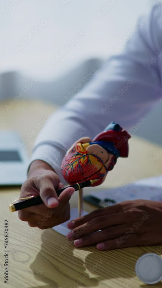 Vertical footage of doctor explaining each part of heart model veins ...