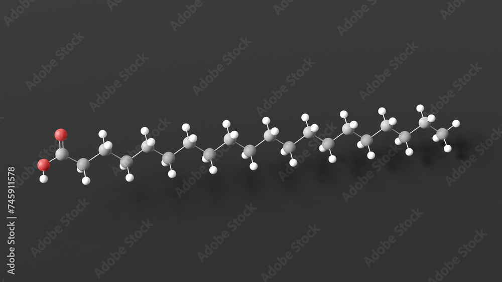 arachidic acid molecular structure, icosanoic acid, ball and stick 3d ...