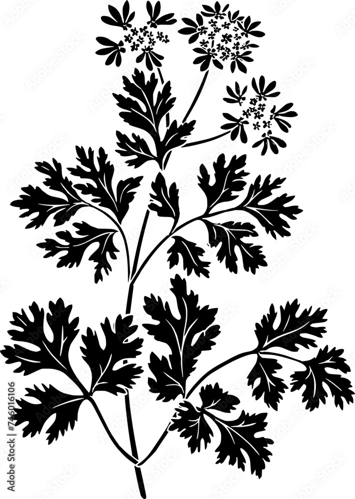 spice illustration ingredient silhouette organic logo plant icon food ...