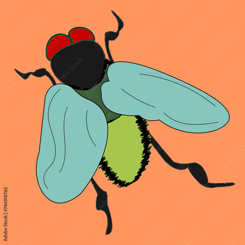 Multi-colored fly. A flying insect consisting of a head, large eyes, a ...