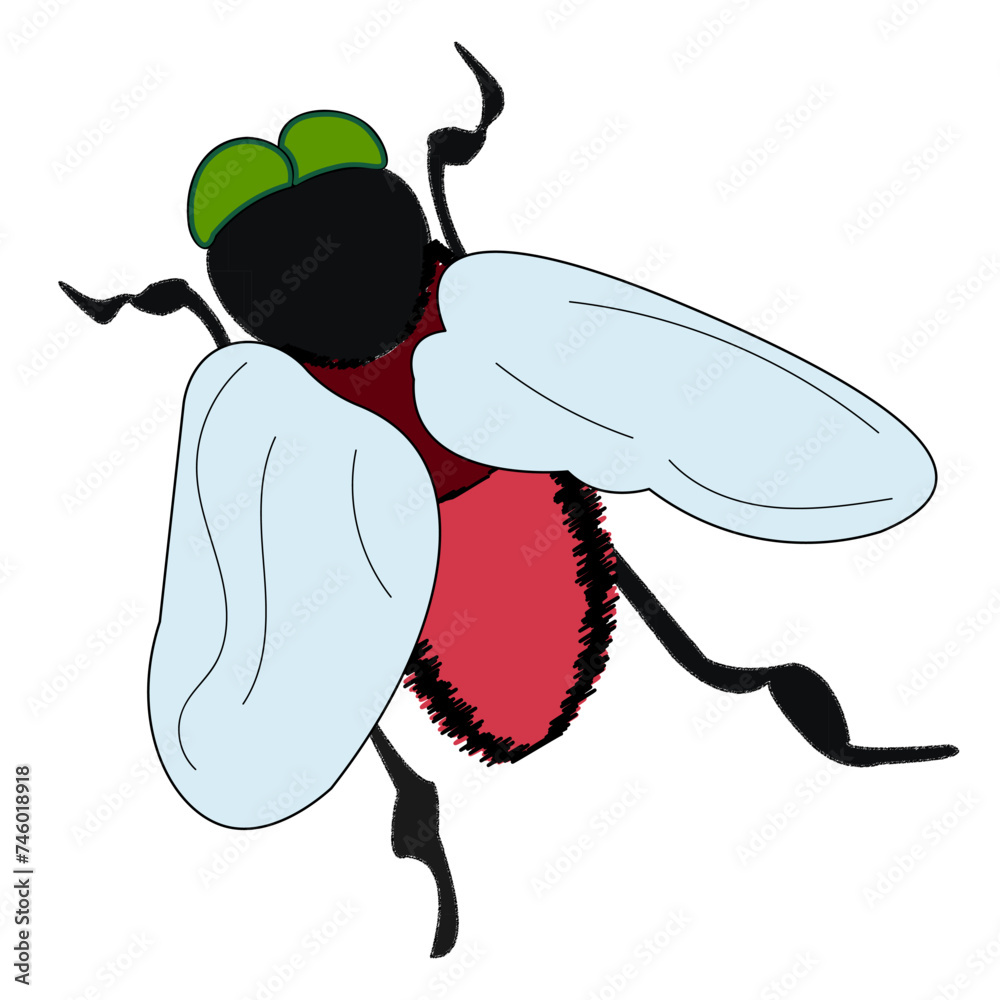 Multi-colored fly. A flying insect consisting of a head, large eyes, a ...