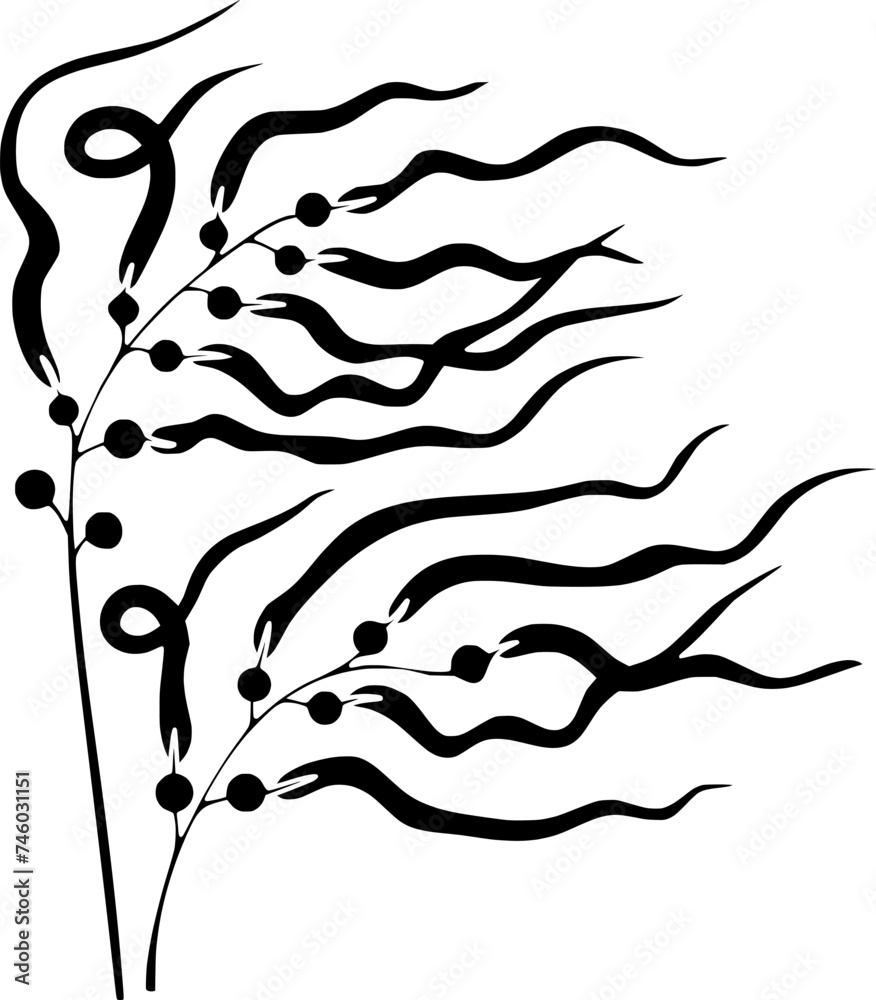 seaweed illustration marine silhouette nature logo ocean icon water ...