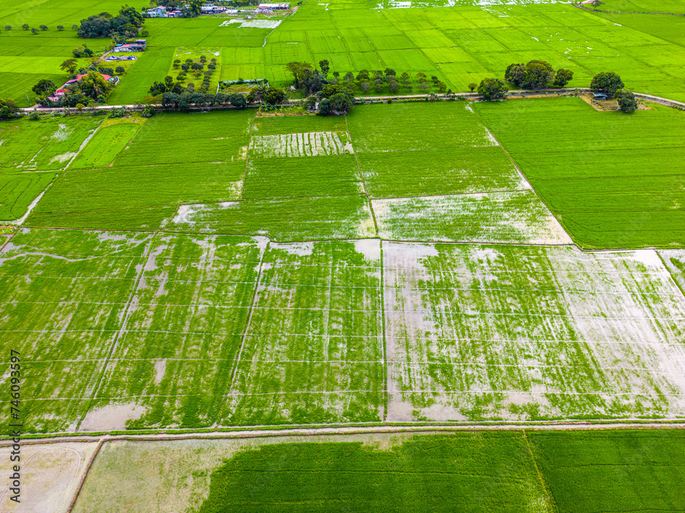 Variegated Green Patches of Rice Fields in Bulacan, Philippines Stock ...
