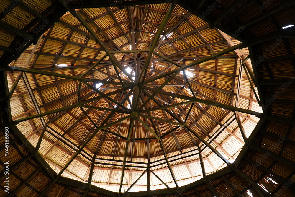 Traditional roof structure of the tribes in the Brazilian Amazon region ...