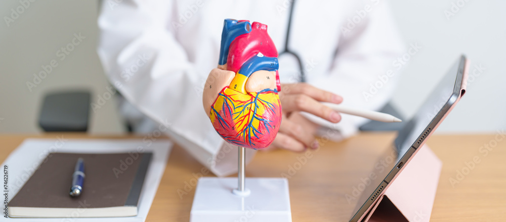 Doctor with human Heart anatomy model and tablet. Cardiovascular ...