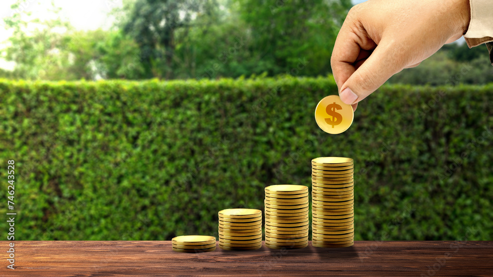 Business hand put golden dollar coins into a stack of golden coins ...