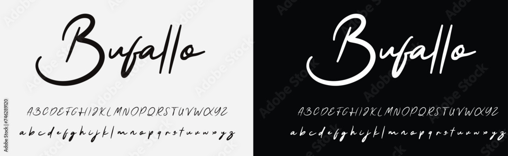 Hand drawn vector alphabet. Modern monoline signature script font ...