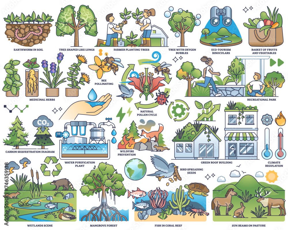 Poster Ecosystem services items with environment protection outline ...