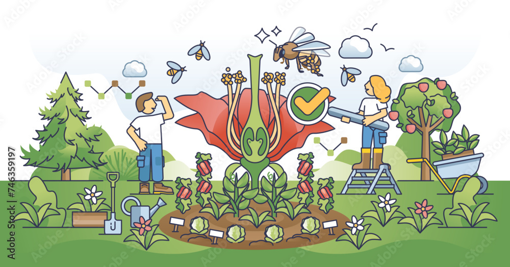 Pollination process for plant reproduction from pollinators outline ...