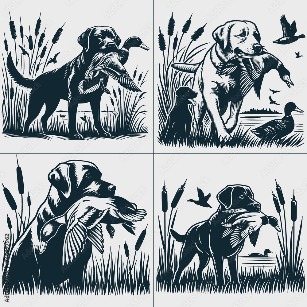 Vecteur Stock Duck Hunting Dog SVG File, Duck Hunter svg, Hunting Dog ...