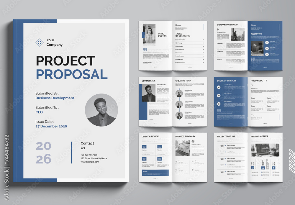 Project Proposal Layout Design Template Stock Template | Adobe Stock