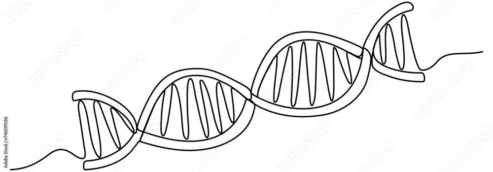 DNA continuous one line drawing. Genome linear structure symbol. Vector ...