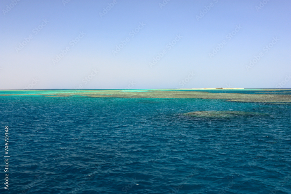 Captivating view of Egypt's Red Sea coral reef near Marsa Alam, Hamata ...