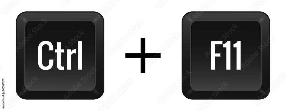 CTRL F11 Key combination. Keyboard, control, computer, shortcut, laptop, functional, input ...