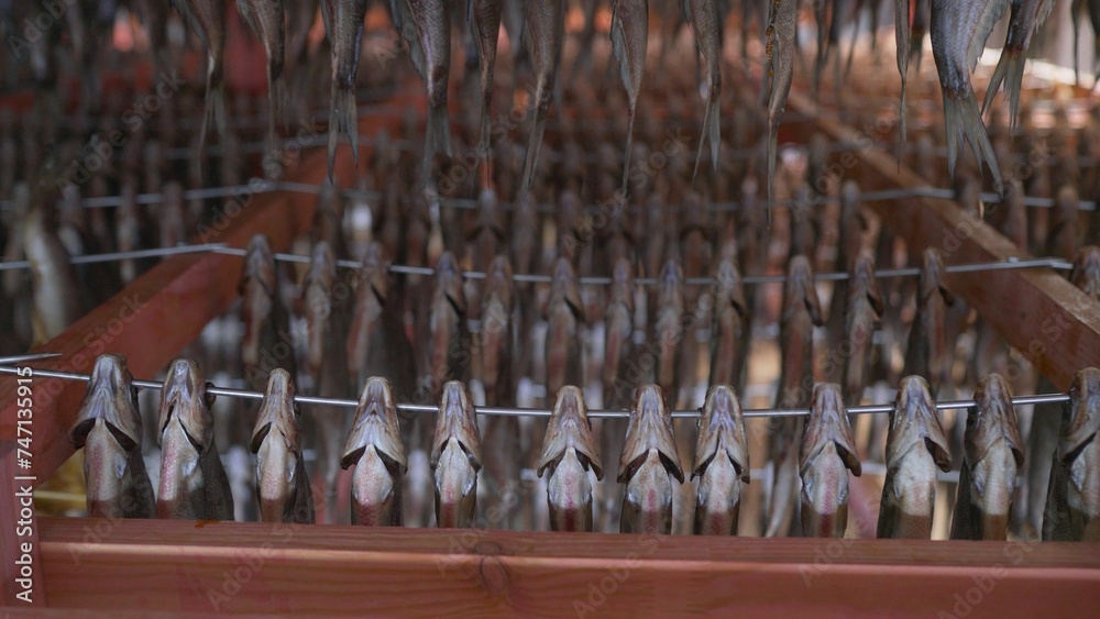 Drying fish on an industrial scale. Drying Fish in Bangladesh. Cooking ...