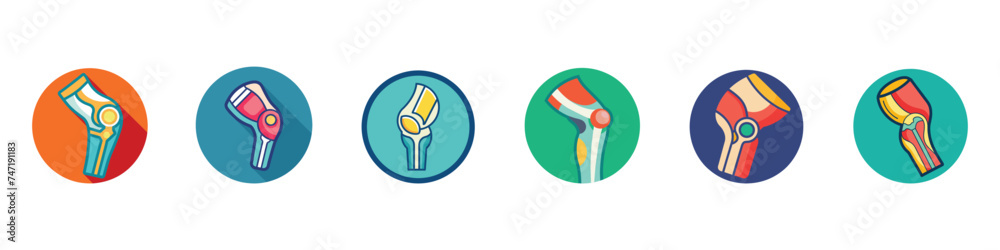 Knee icon. Human Knee Bone Joint Line Icon. Anatomy Leg Skeleton Linear ...