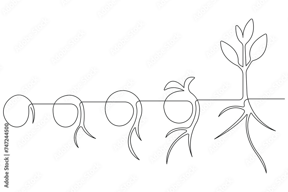 Continuous single line art drawing of plant growth processing from seed ...