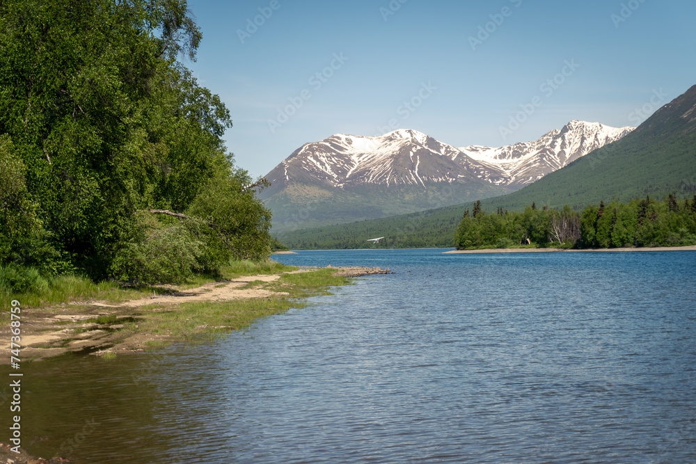 Port Alsworth, Alaska: de Havilland Canada DHC-2 Beaver floatplane ...