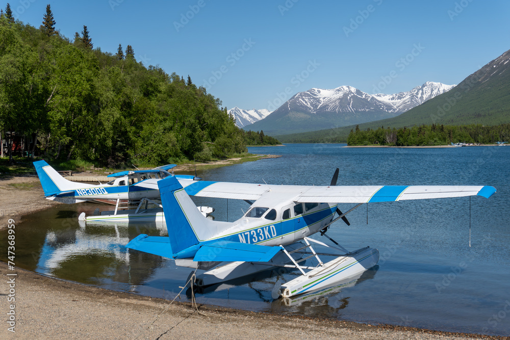 Port Alsworth, Alaska: Floatplanes on Hardenburg Bay on Lake Clark in ...