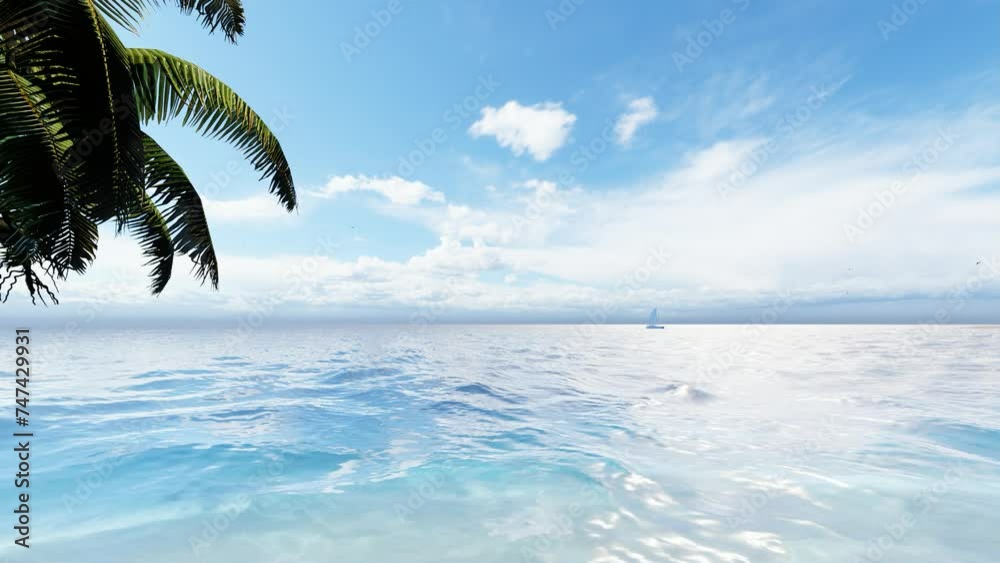 Palm and tropical beach. The best beaches in the world. Loop video ...