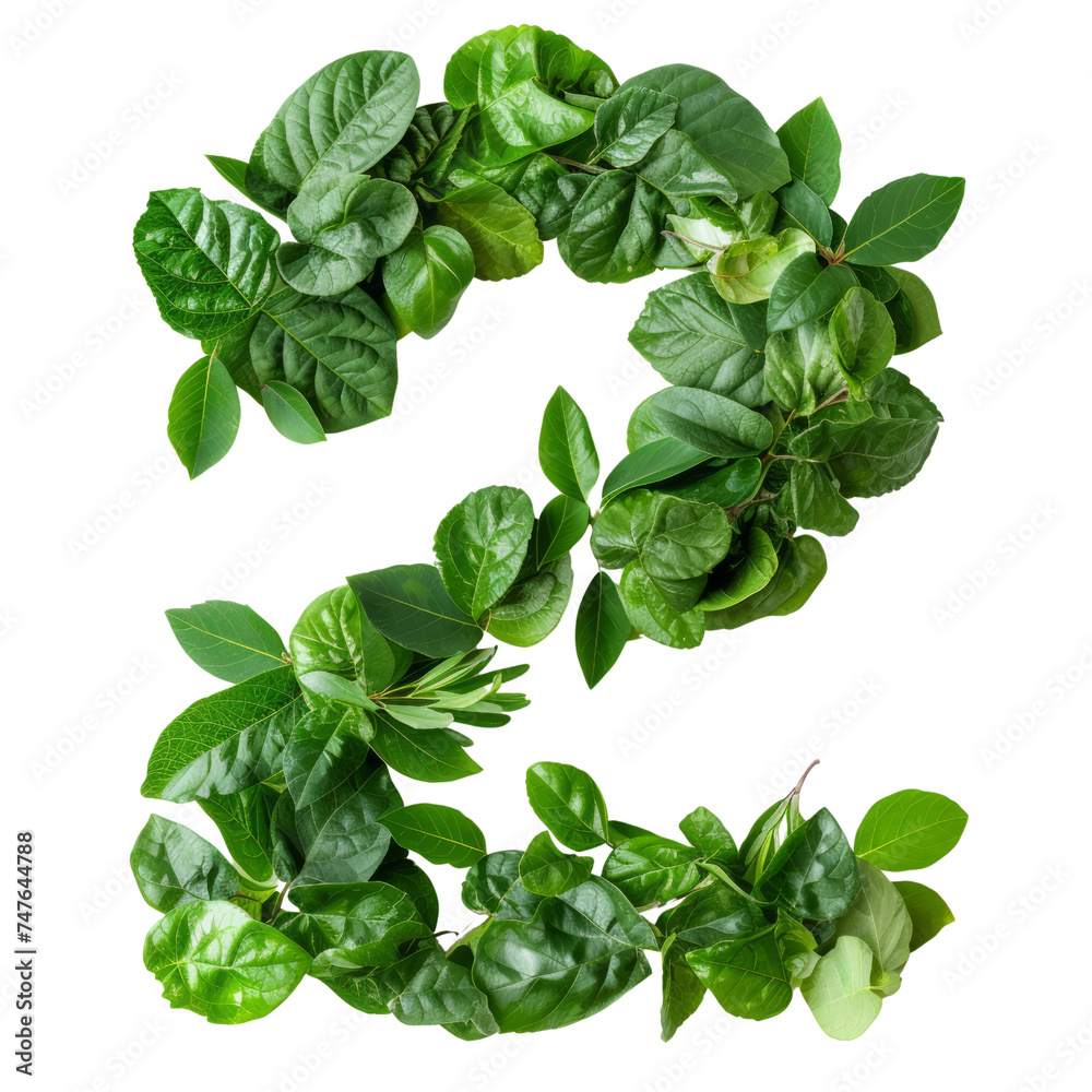 A collection of numbers from a pile of tropical leaves. Green leaves of ...