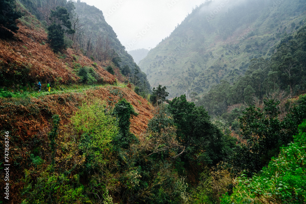 Cloudy sky over the hiking trail of Levada Nova, leading through the ...