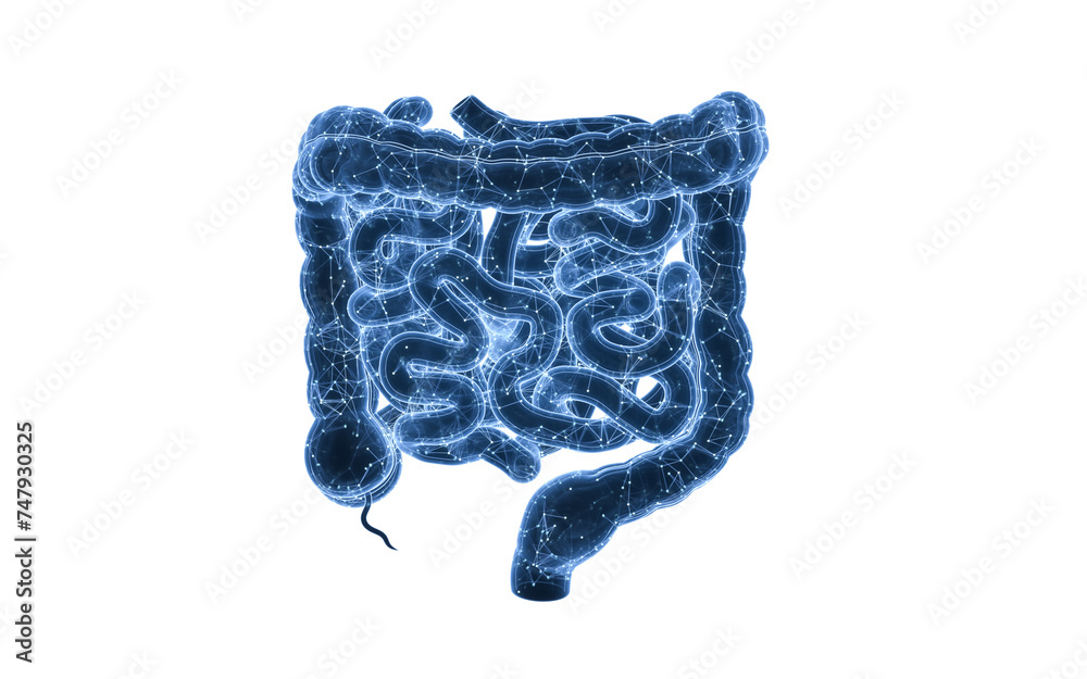 Intestinal tract with digital structure, 3d rendering. Stock ...