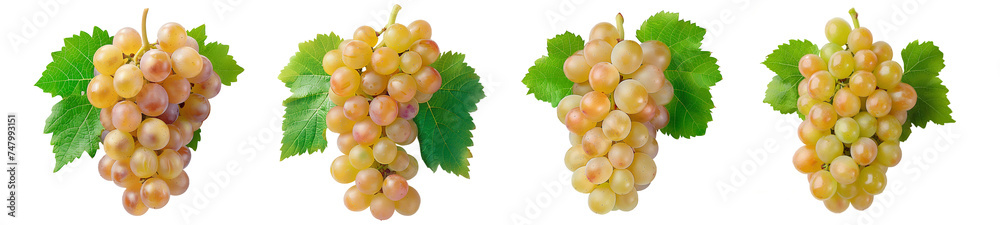 White grapes PNG. Centennial grapes isolated. Table grape of Centennial ...