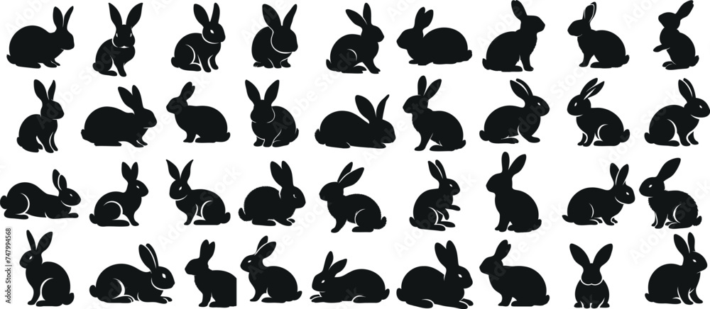 Rabbit silhouettes, various poses of rabbit, bunnt vector illustration ...
