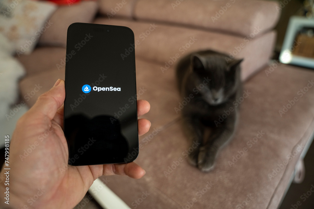 OpenSea NFT Marketplace app icon on an iPhone 14 pro max. OpenSea is a ...