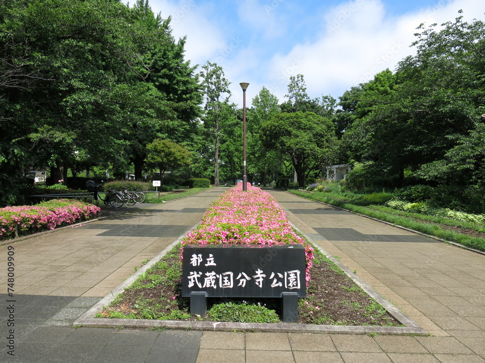 Foto Stock 都立武蔵国分寺公園（泉・南東口） | Adobe Stock