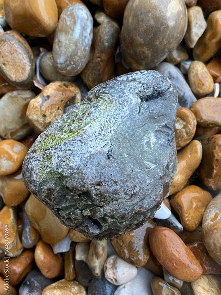 Ambergris whale vomit used in perfume making it is made by sperm whale ...