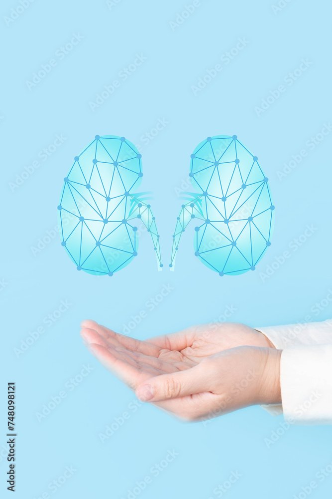 World kidney day. Nephrologist doctor check up kidney organ hologram ...