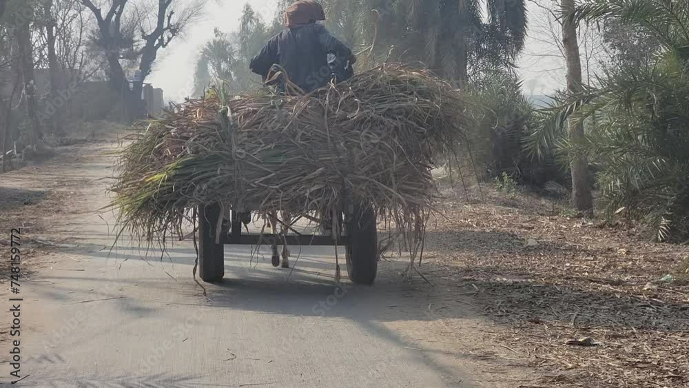 Donkey cart. Donkey carts still drive in villages and small towns ...