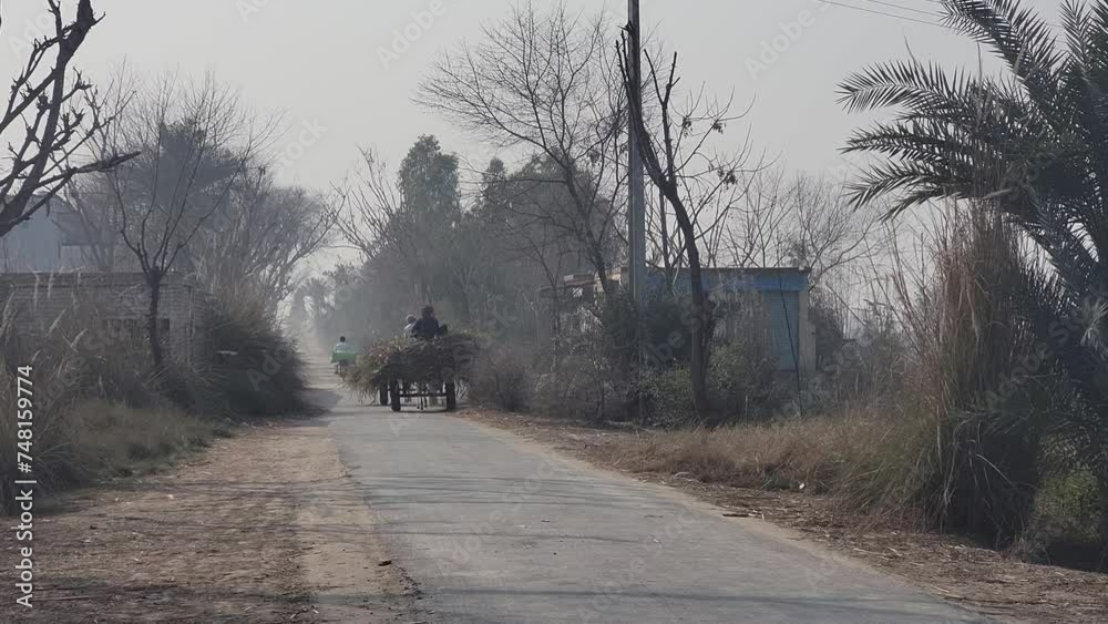 Vidéo Stock Donkey cart. Donkey carts still drive in villages and small ...