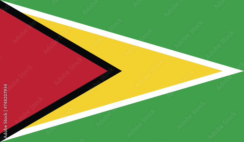 National Flag of Guyana Vector, Guyana Flag background, Guyana sign ...